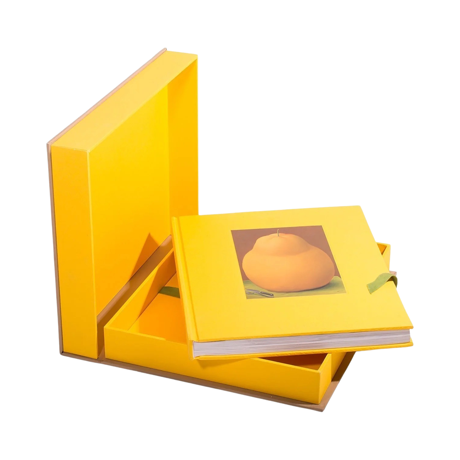 90475 ASSOULINE FERNANDO BOTERO COFFEE TABLE BOOK – areastore.com